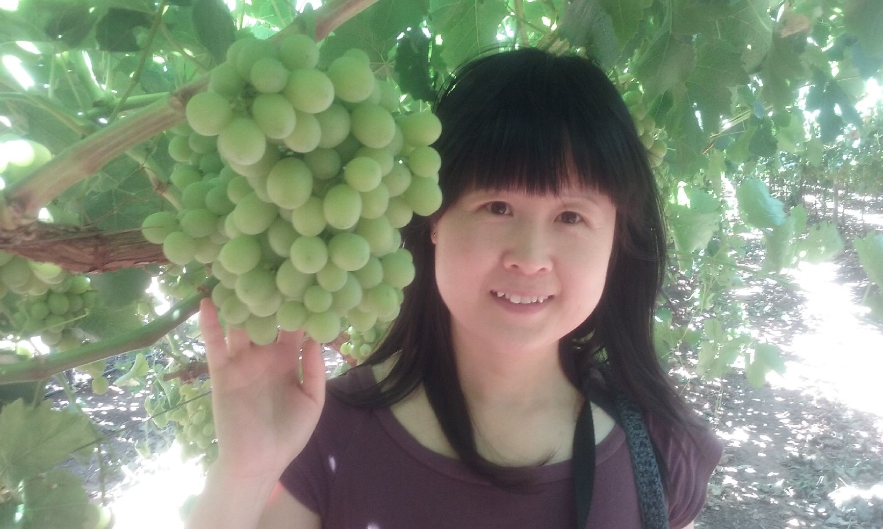 Yanping Ren - Ironfish