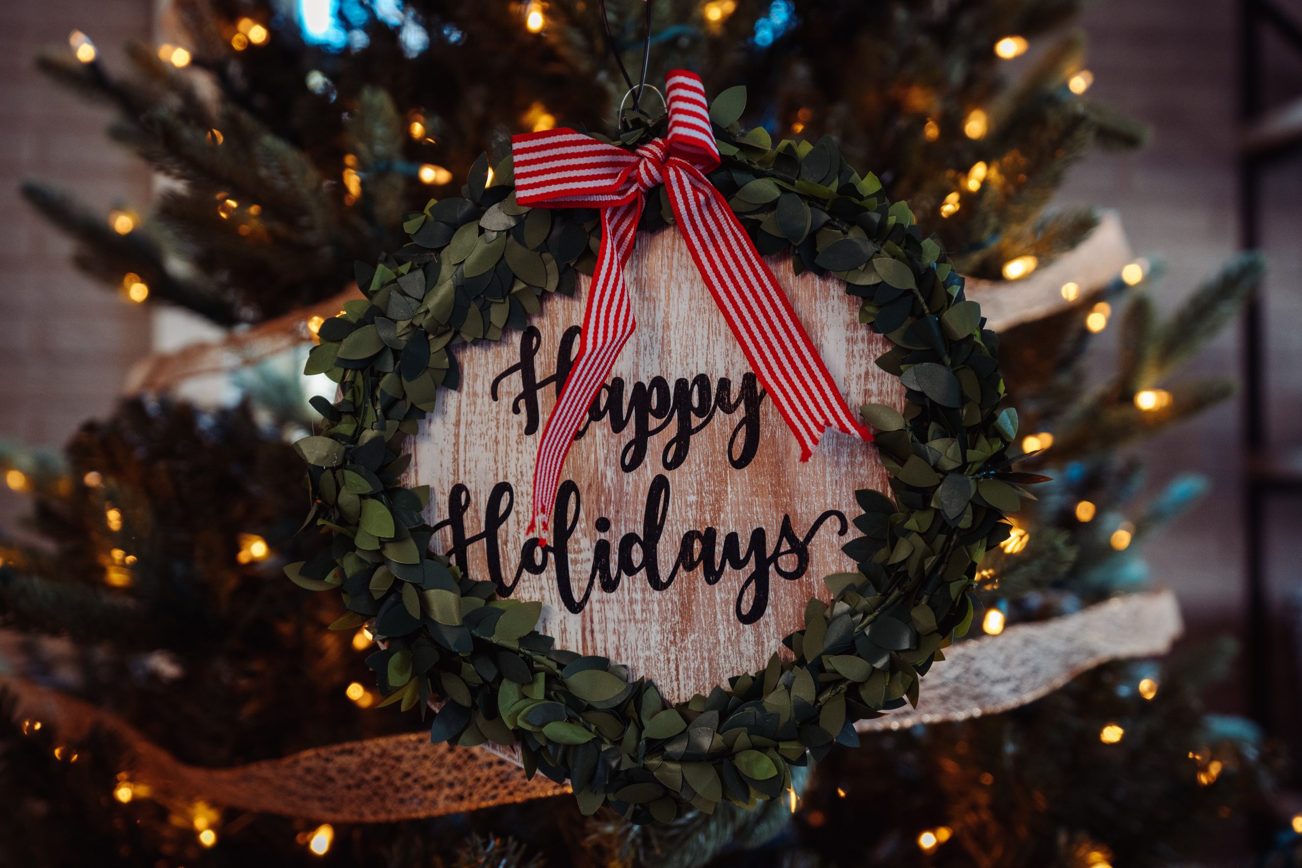 Happy Holidays from all of us at Ironfish - Ironfish